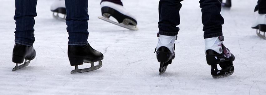 Arena and Skating | Township of Wainfleet | CiviKit